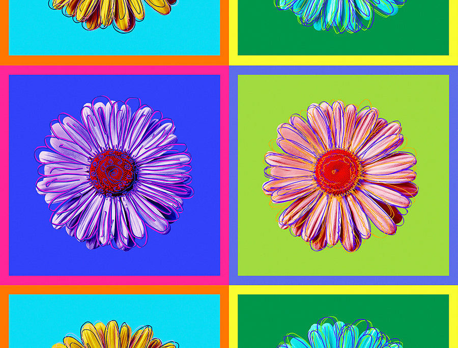 Kim, Daisy – Just Perfect Collection Online