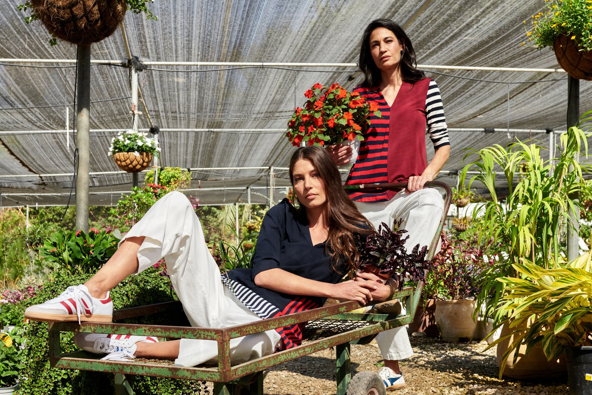 Just Perfect Collection – Just Perfect Collection Online